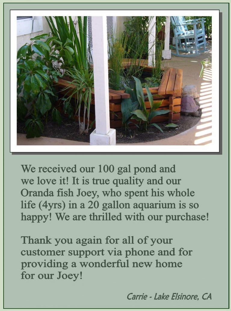100 Gallon Above Ground Pond Kit – Kim's Ponds
